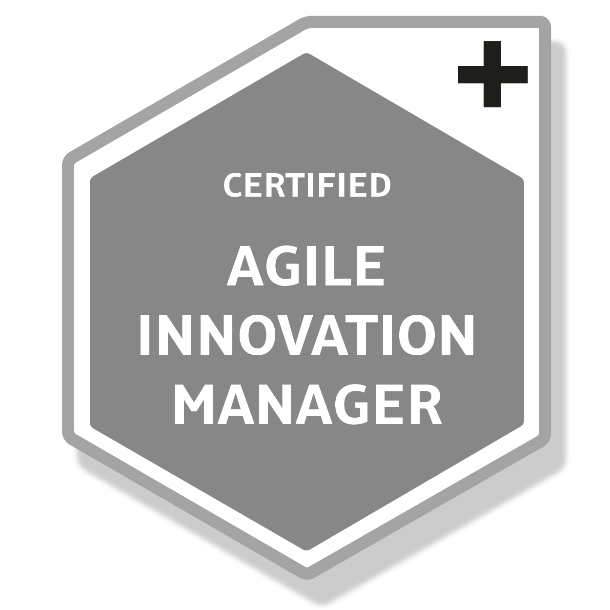 Certified Agile Innovation Manager - Credly