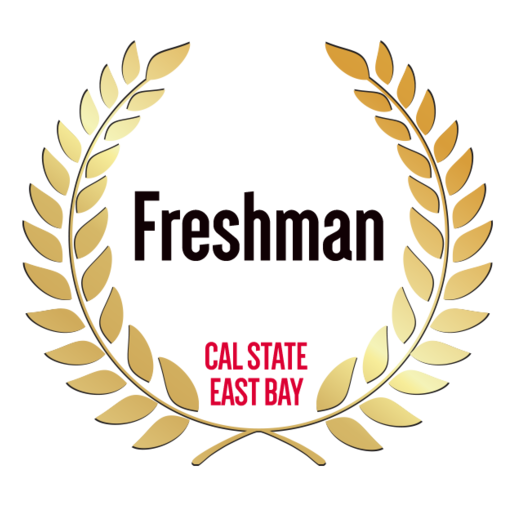 Freshman Class Level 1 Credly
