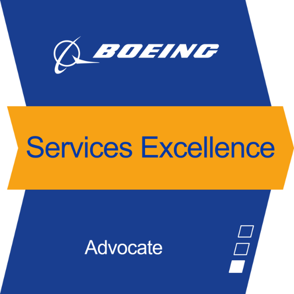 Services Excellence - Credly