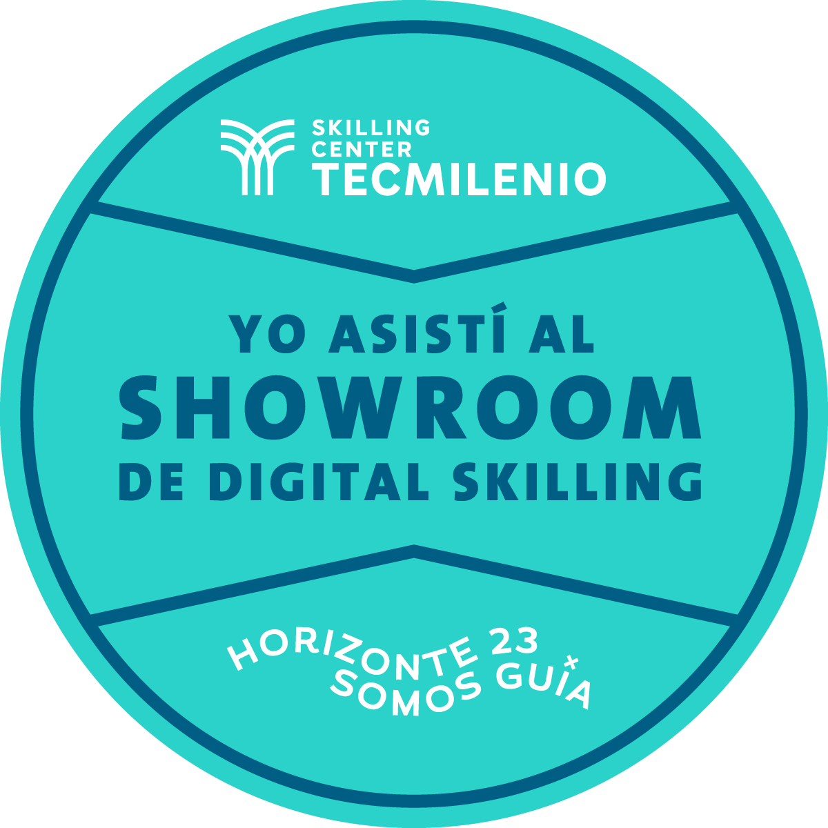 Showroom Digital Skilling - Credly