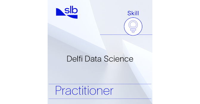 Delfi Data Science - Practitioner - Credly