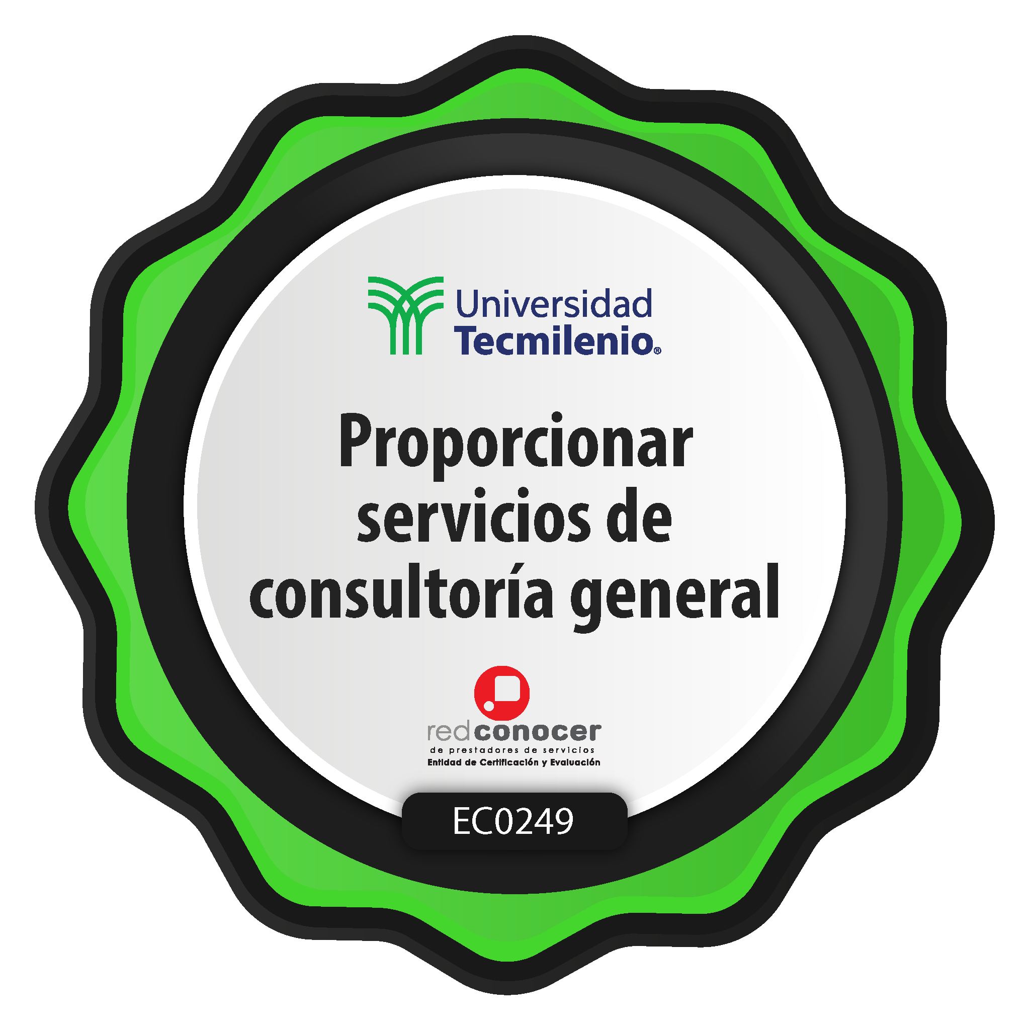 Proporcionar servicios de consultoría general EC0249 - Credly