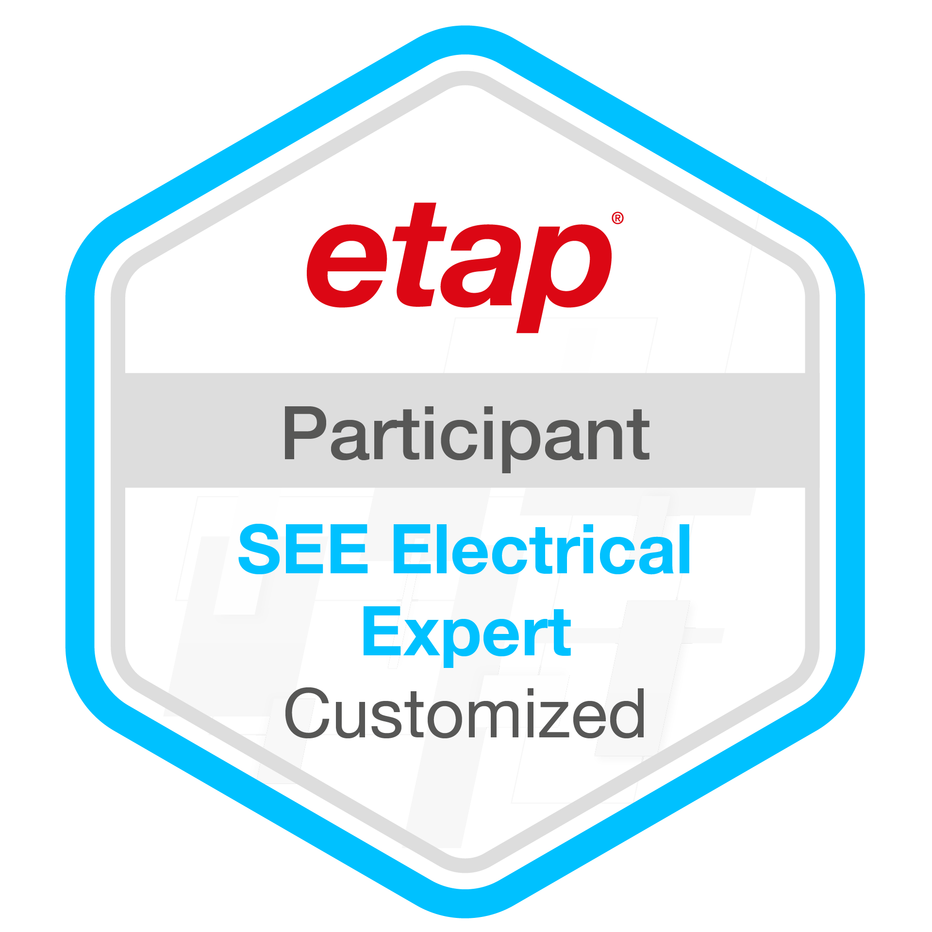 SEE Electrical EXPERT - Customized Training - Level 1 (IN) - Credly