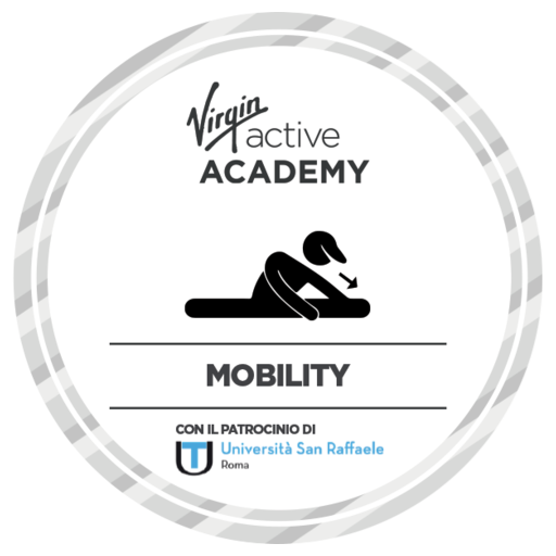 Workshop Mobility - Credly