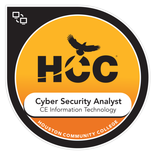 Cyber Security Analyst - Credly