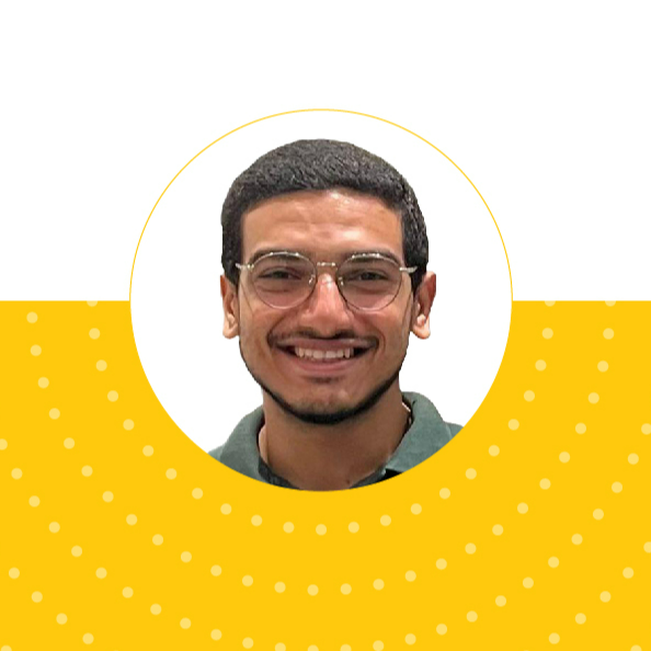 Google Data Analytics Professional Certificate - Credly