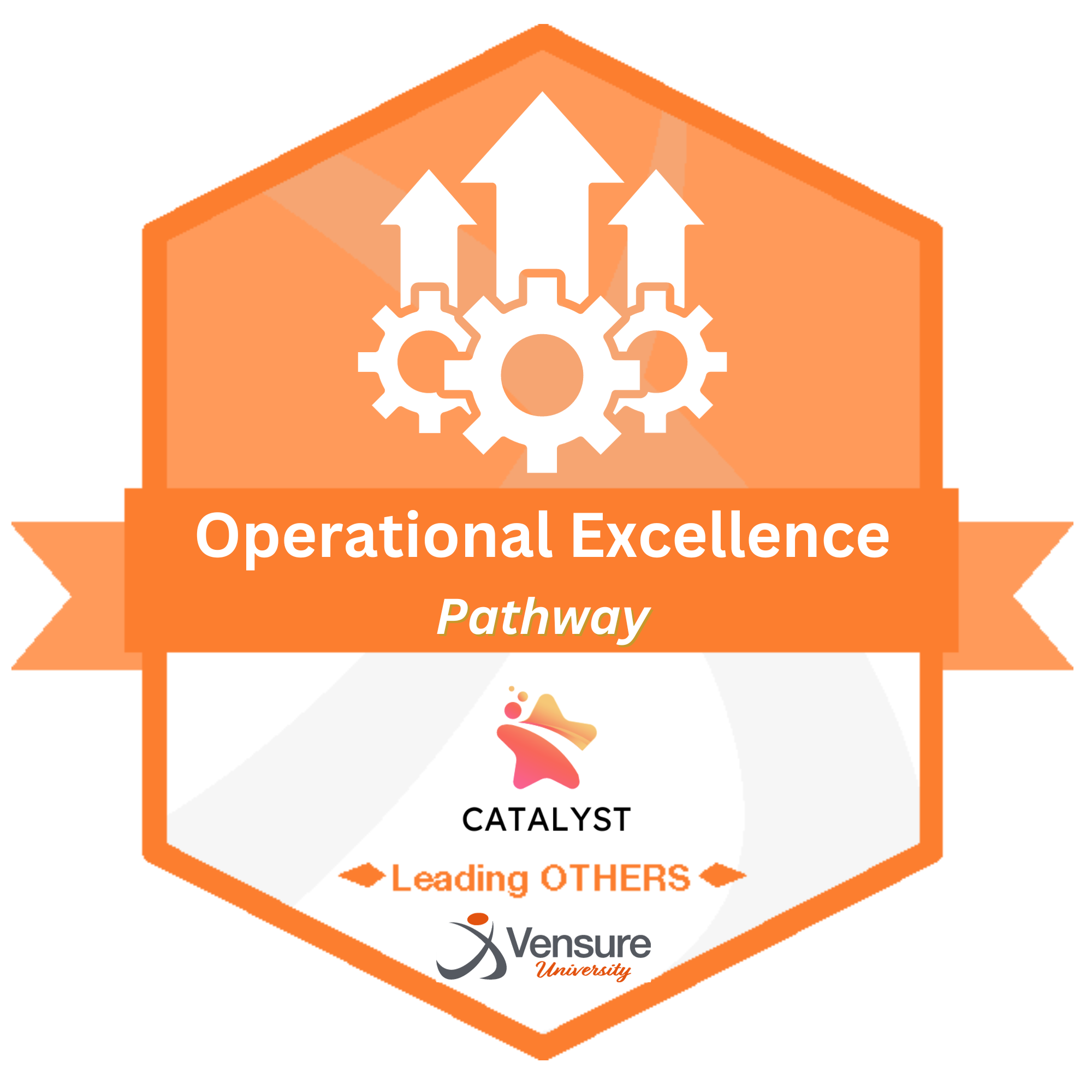LEADING OTHERS: Operational Excellence – Pathway (Catalyst Leadership ...