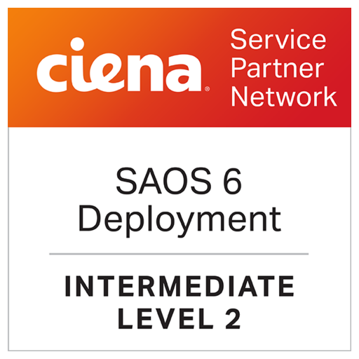 Service Partner Network - SAOS 6 Deployment Level 2 - Credly