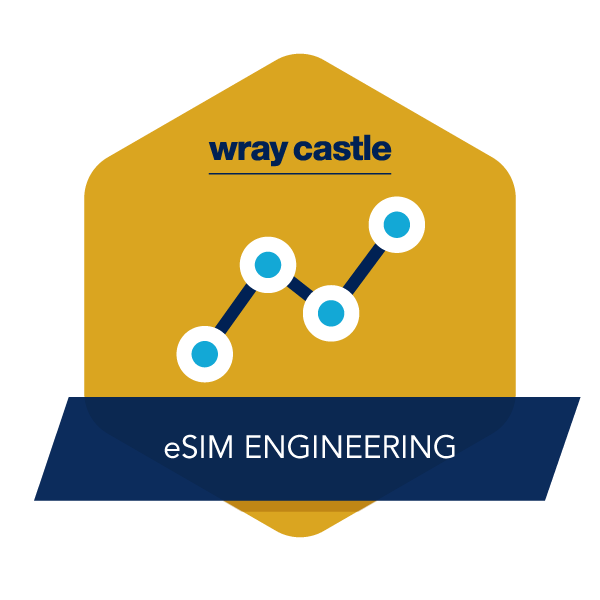 eSIM Engineering [WR1901] - Credly