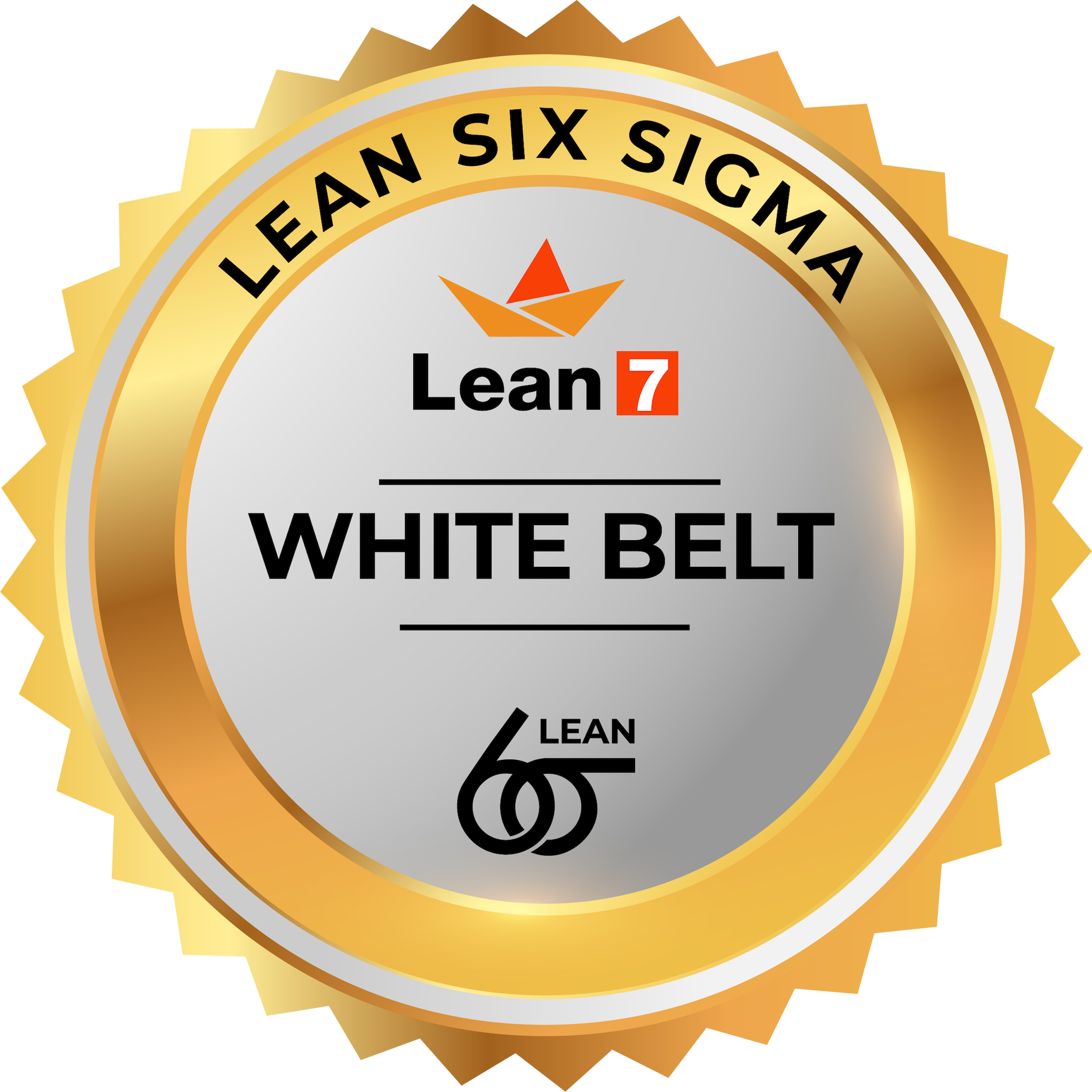 Best Of Lean Six Sigma White Belt Professional Certification Lsswbpc