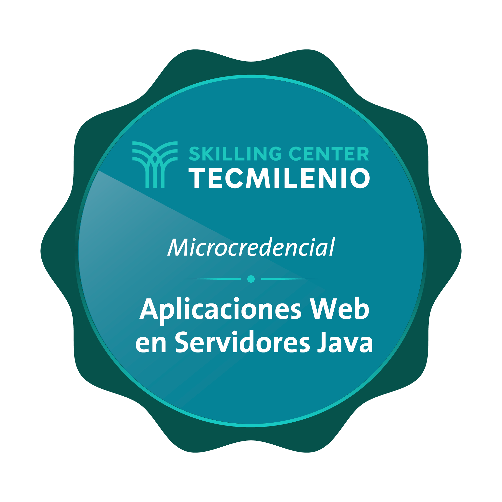 Microcredencial Aplicaciones web en servidores java - Credly