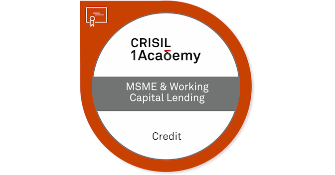 MSME & Working Capital Lending - Credly