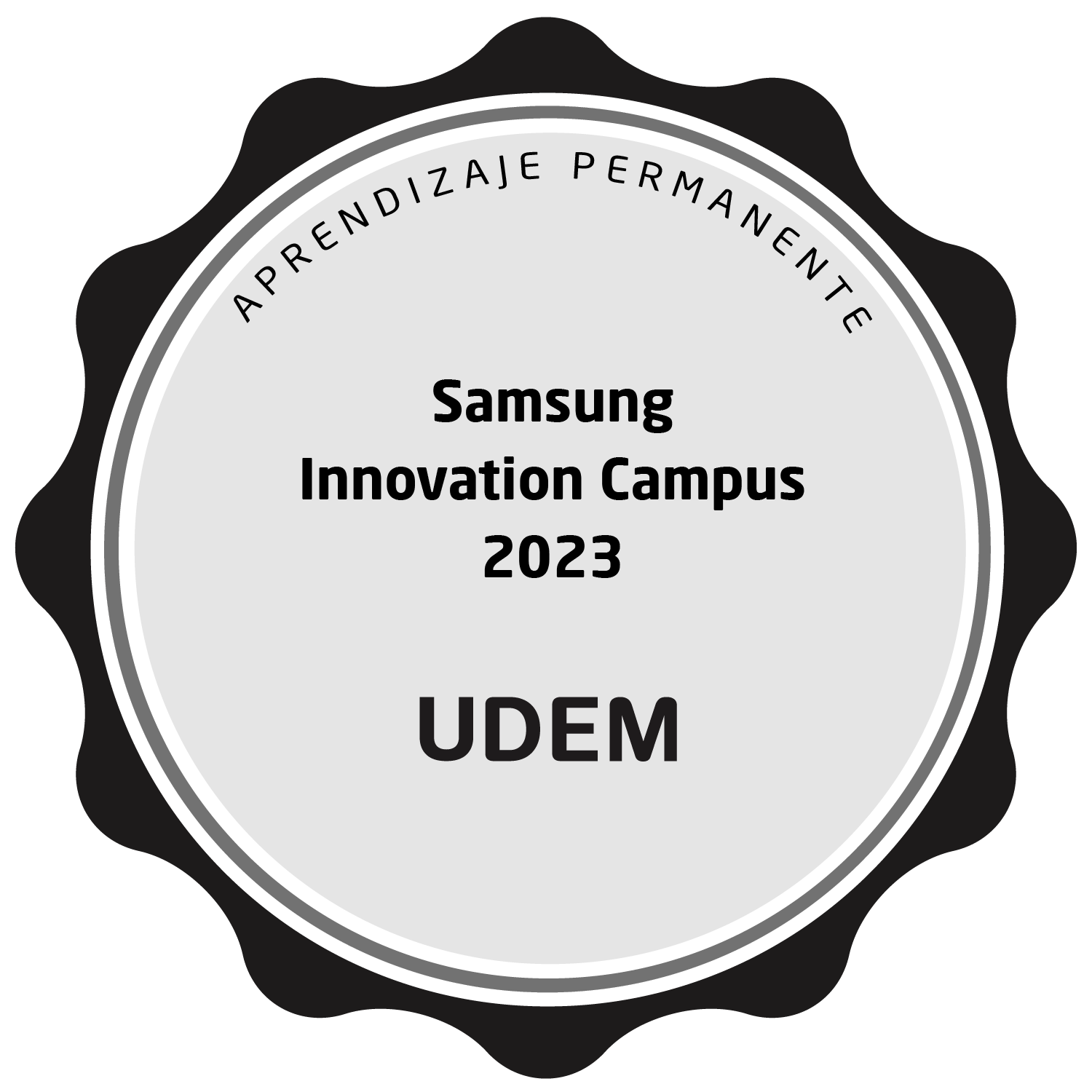 Samsung Innovation Campus 2023 - Credly