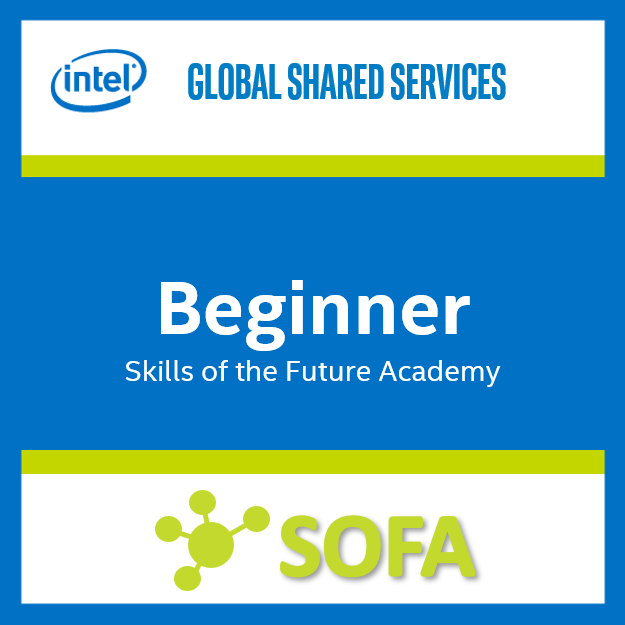 Skills Of The Future (SOFA): Beginner - Credly