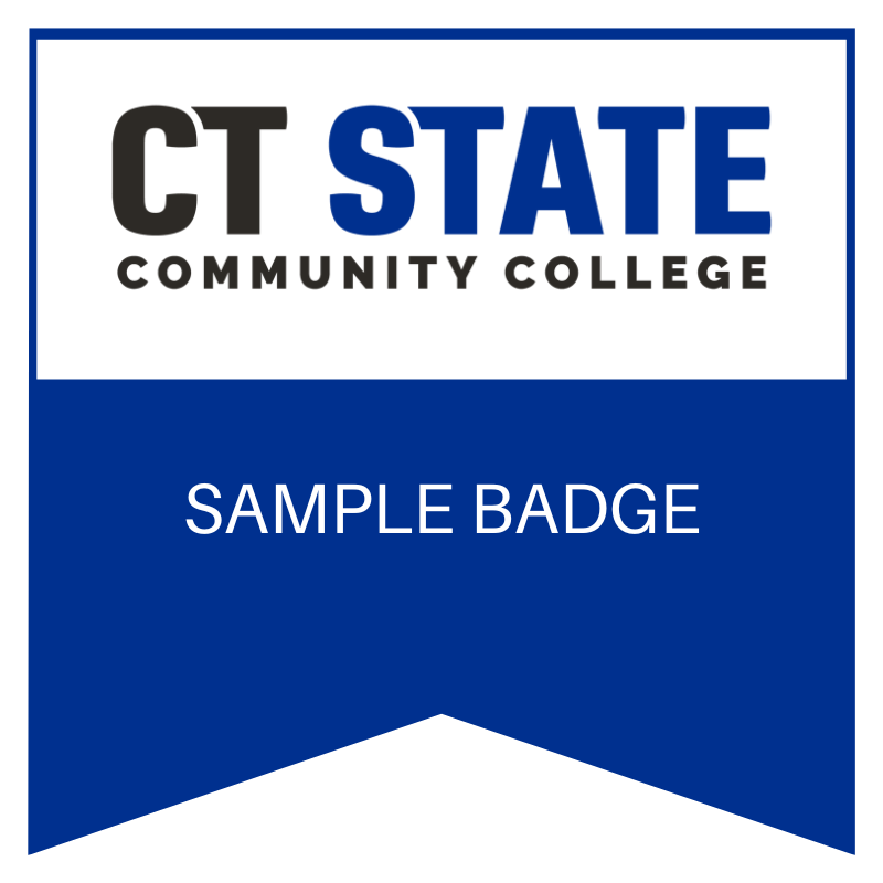 CT State Sample Badge - Credly