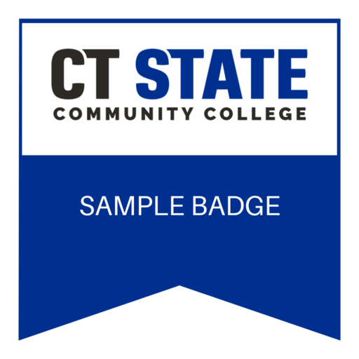 CT State Sample Badge - Credly
