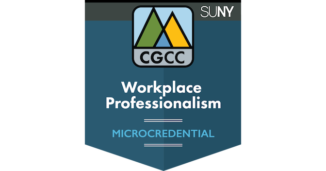 Workplace Professionalism - Credly