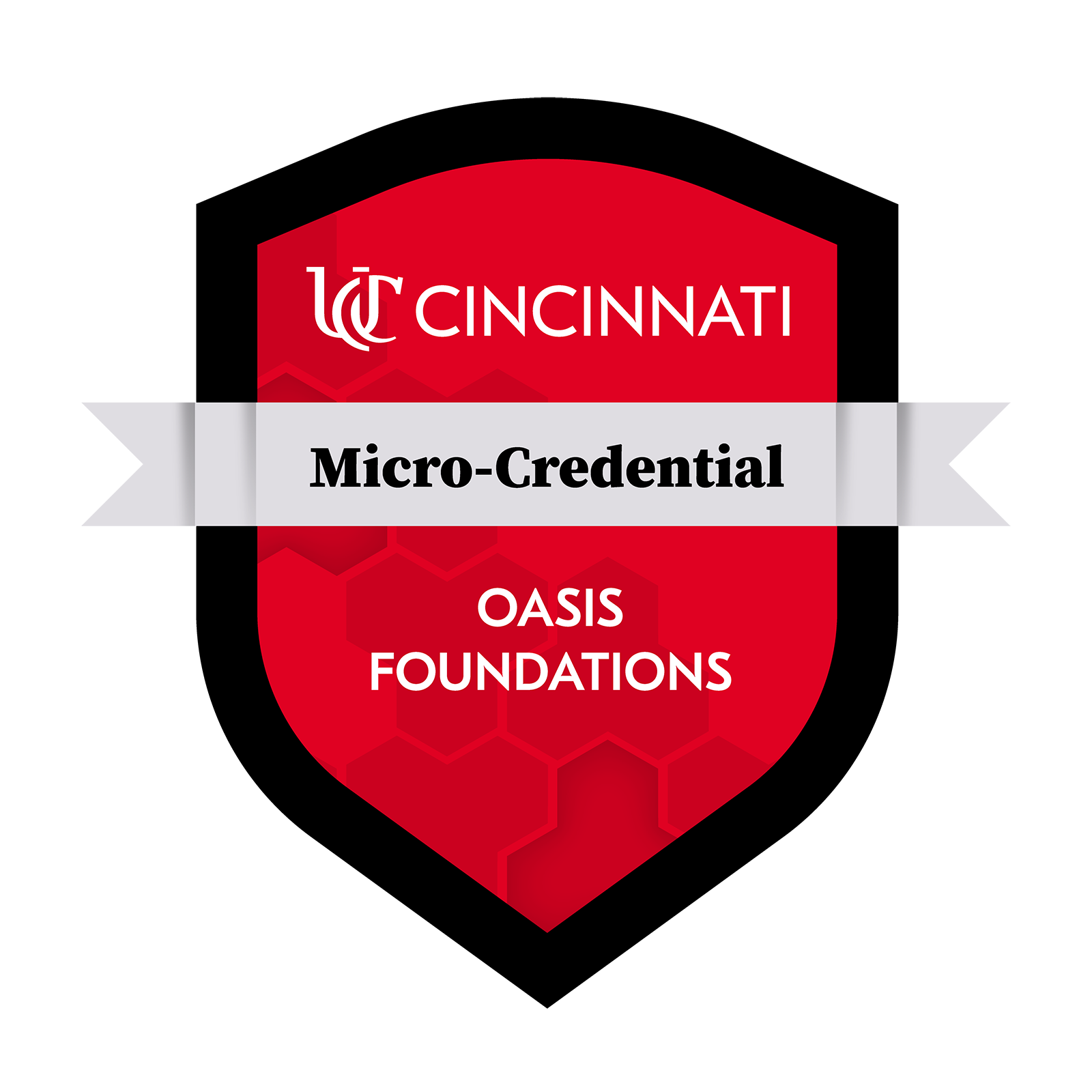 OASiS Foundations Program - Credly