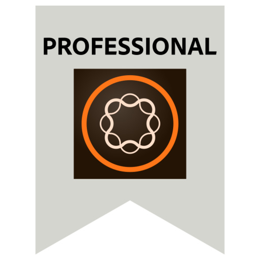 Adobe Professional – Adobe Experience Manager Front-End Developer - Credly