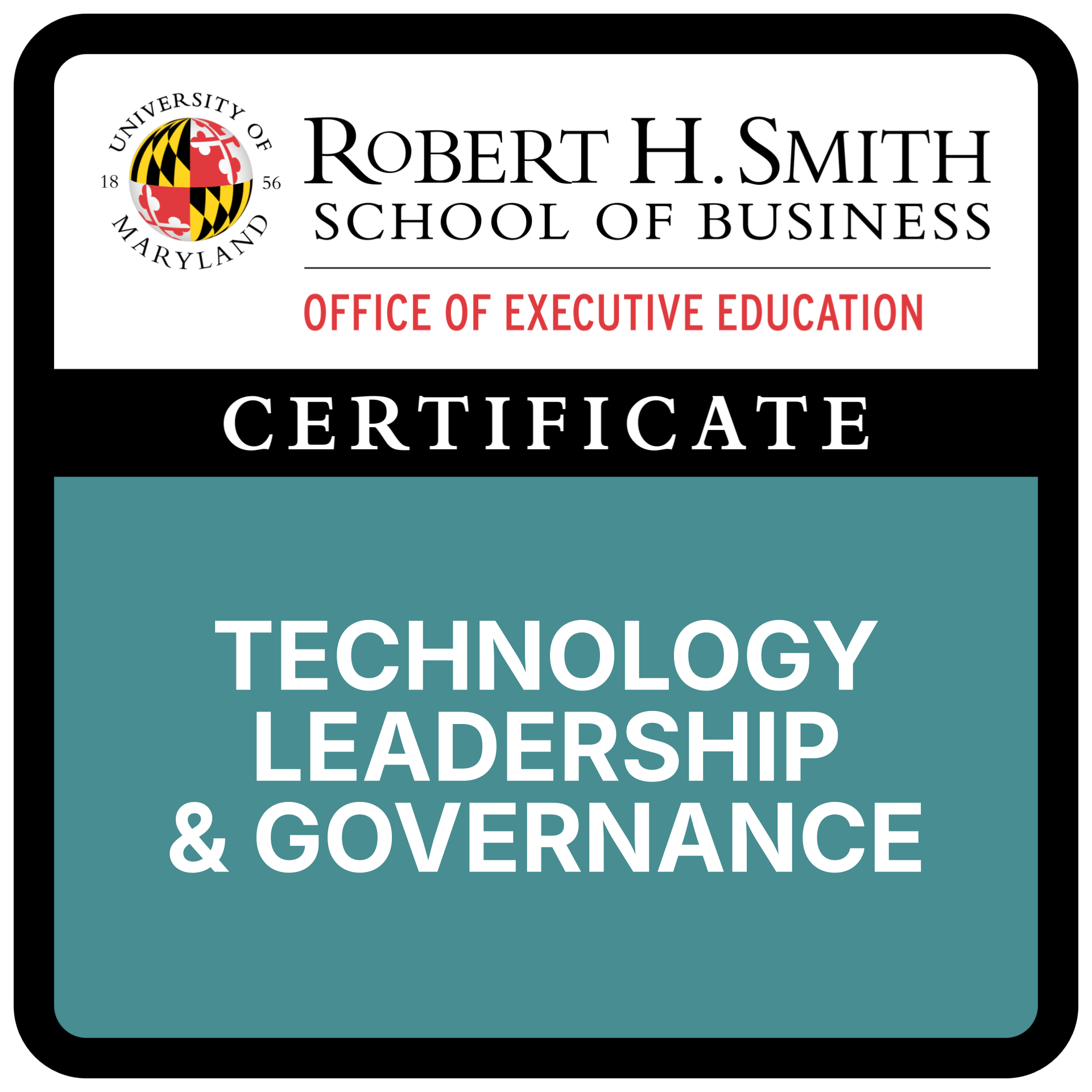 Technology Leadership and Governance - Credly