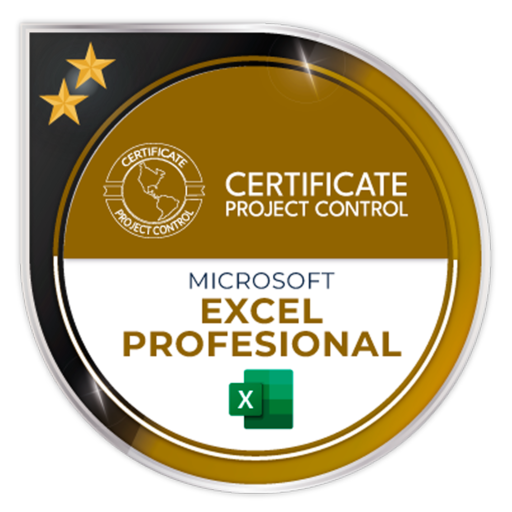 Especialización en Microsoft Excel Profesional - Credly