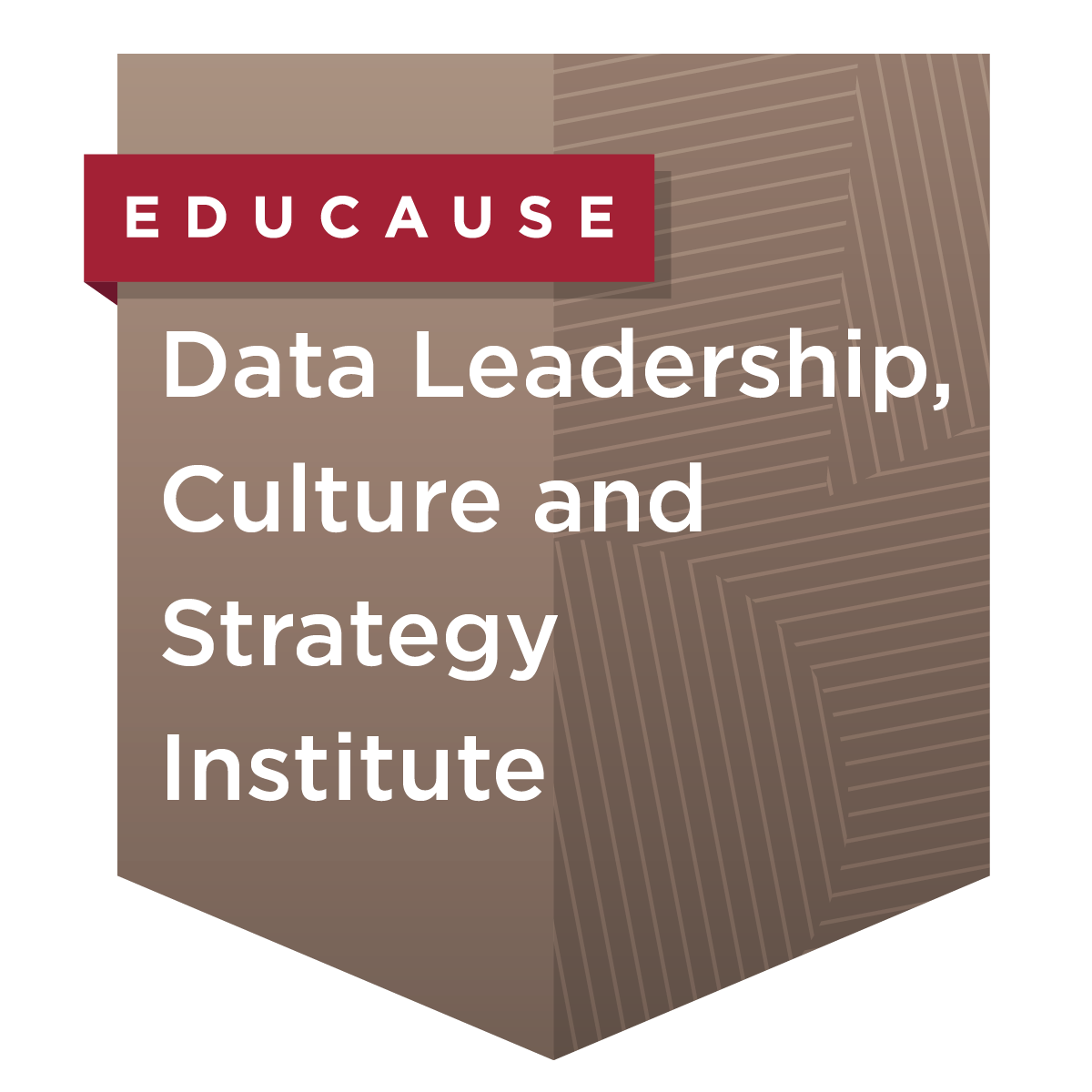 Data Leadership, Culture, and Strategy Institute - Credly
