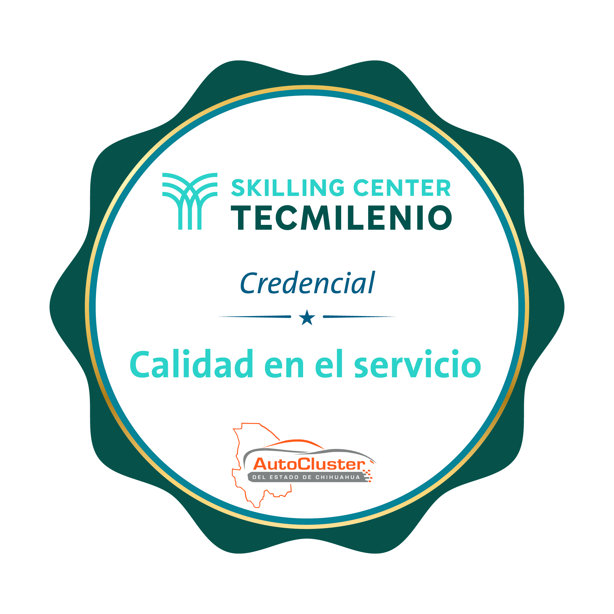 -Credencial Calidad en el servicio - Credly