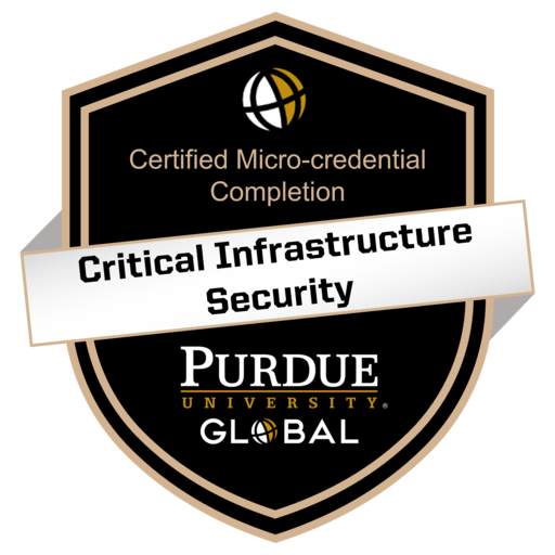 Critical Infrastructure Security Micro-credential - Credly