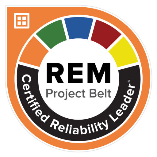 REM Project Belt - Credly