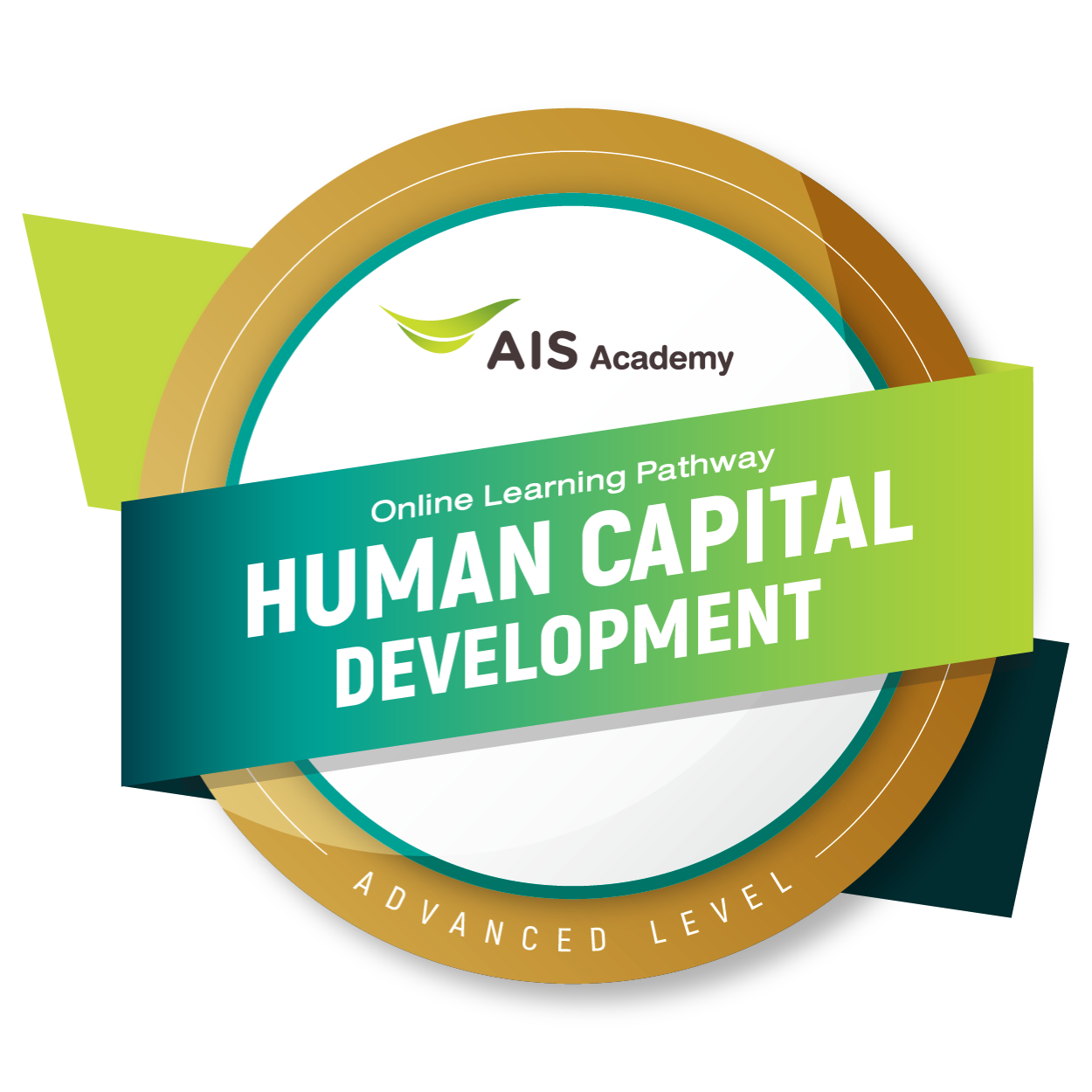 Online Learning Pathway - Human Capital Development - Advanced Level ...