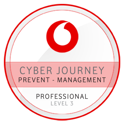 Cyber Professional – Prevent – Management - Credly