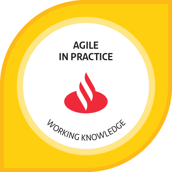 Agile in Practice - Credly