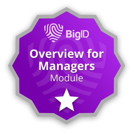 BigID Overview for Managers Module - Credly