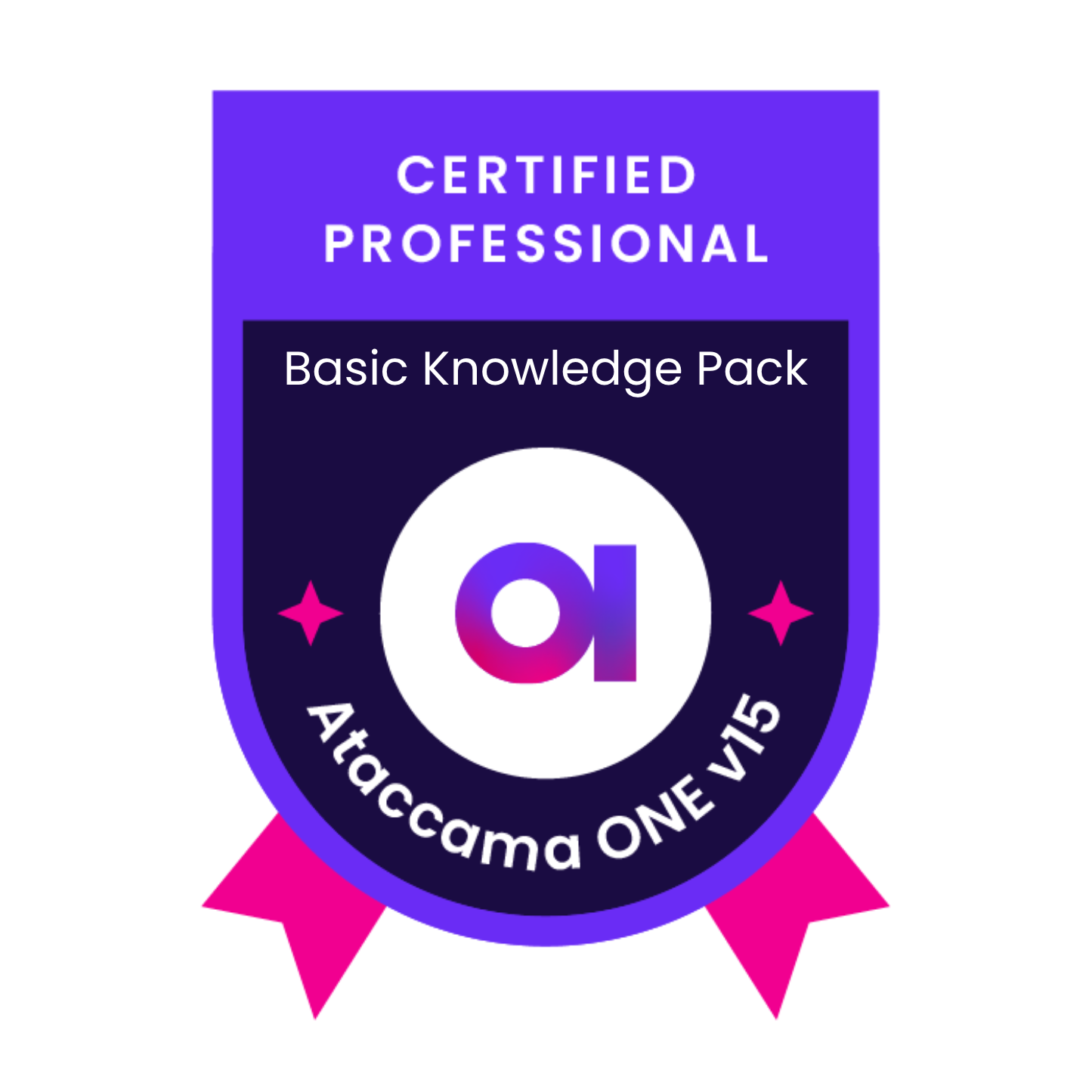 SE Basic Knowledge Pack - Credly