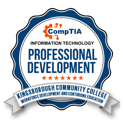 IT Professional Development - Credly