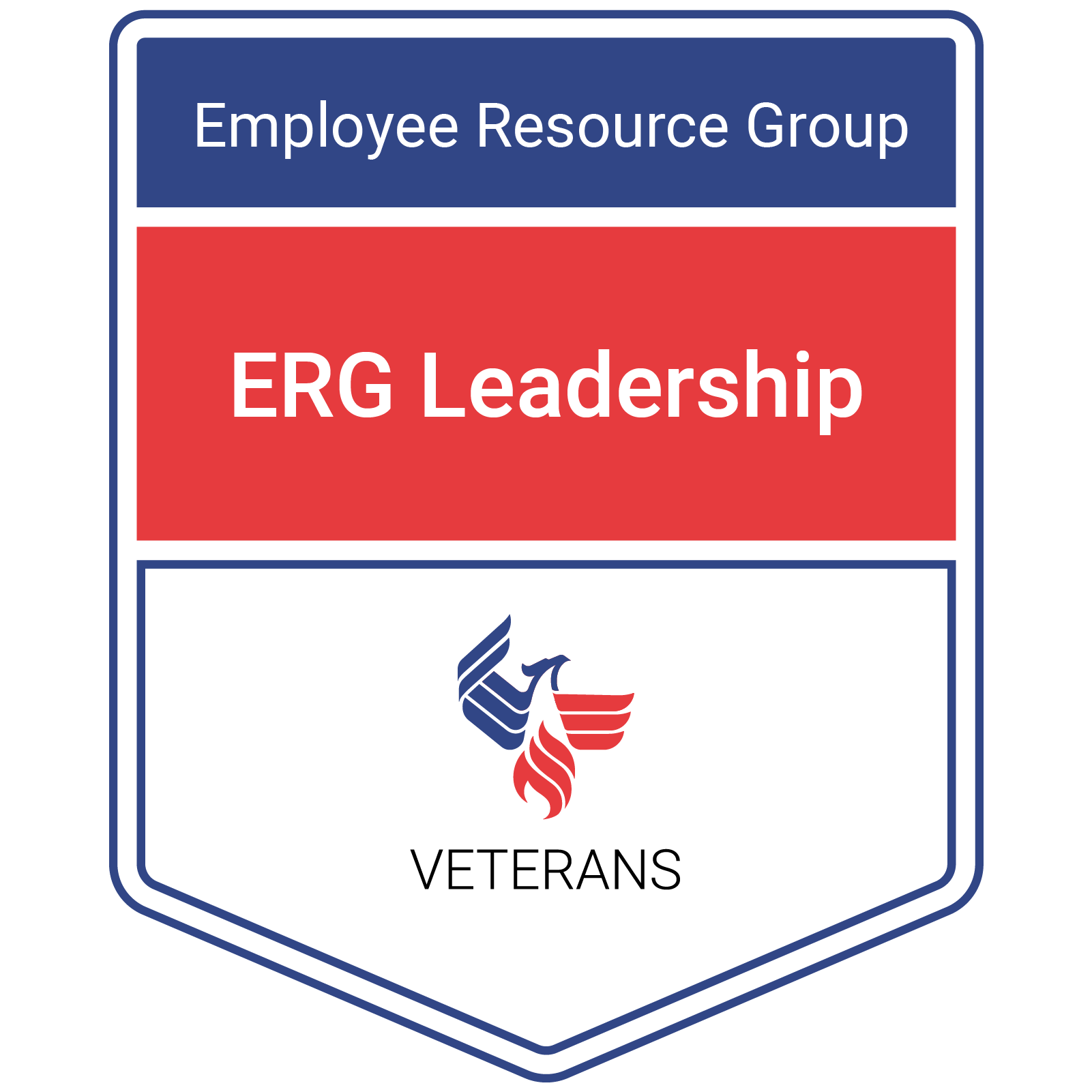 Veterans Employee Resource Group - Credly