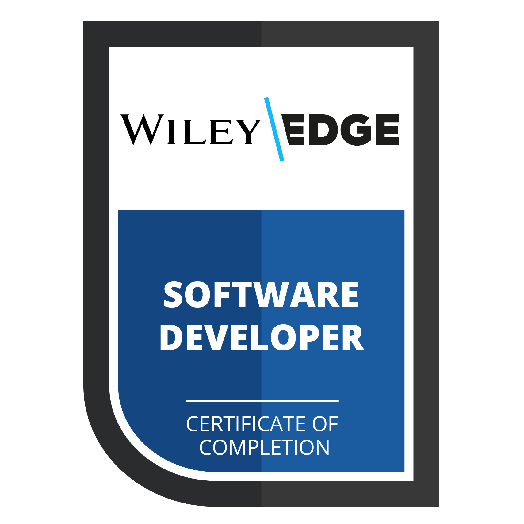 SOFTWARE DEVELOPER - Credly