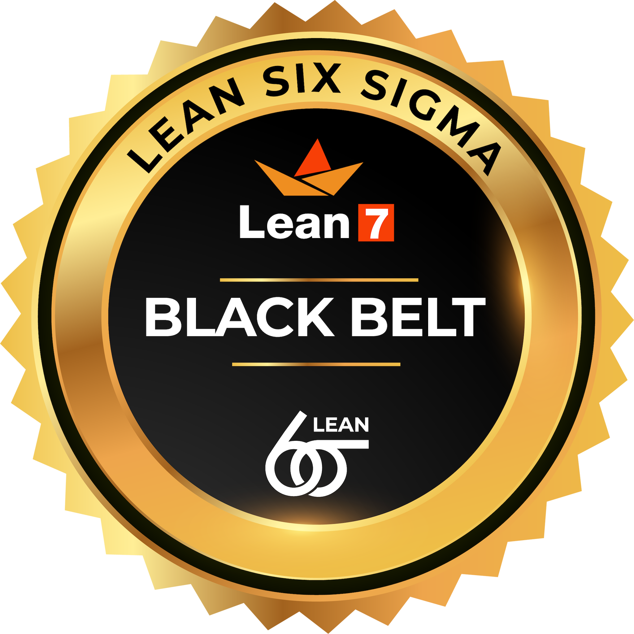 Lean Six Sigma Black Belt Credly