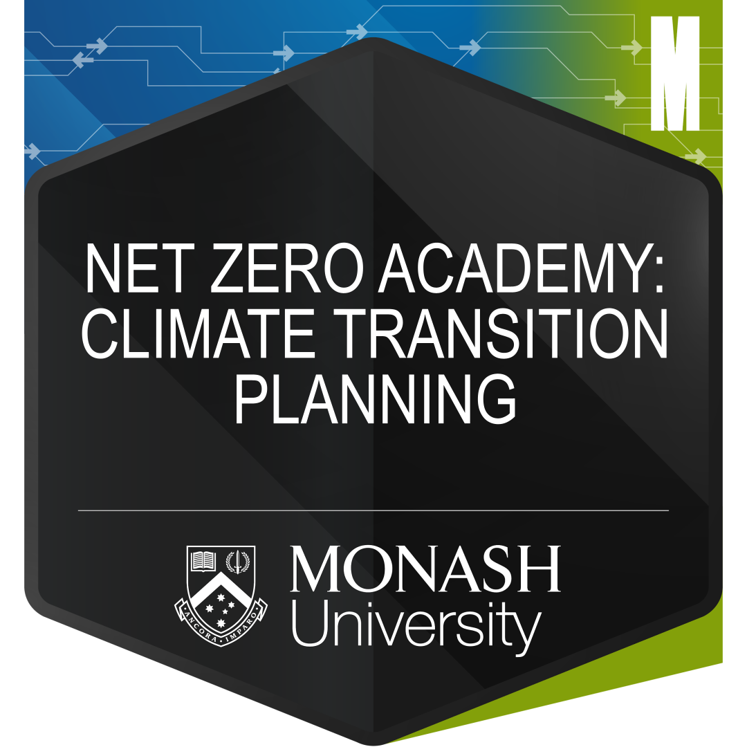 Net Zero Academy: Climate Transition Planning
