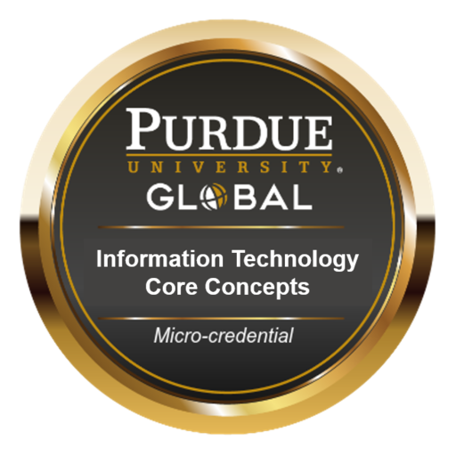 Information Technology Core Concepts Micro-credential - Credly