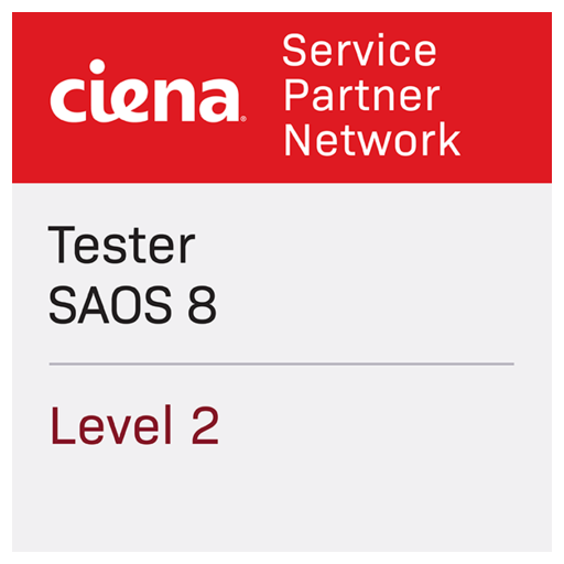 Service Partner Network - SAOS 8 Deployment Level 2 - Credly