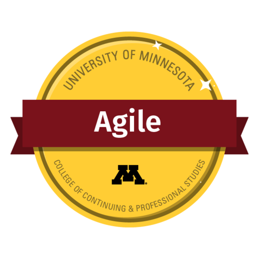 Agile Certificate - Credly