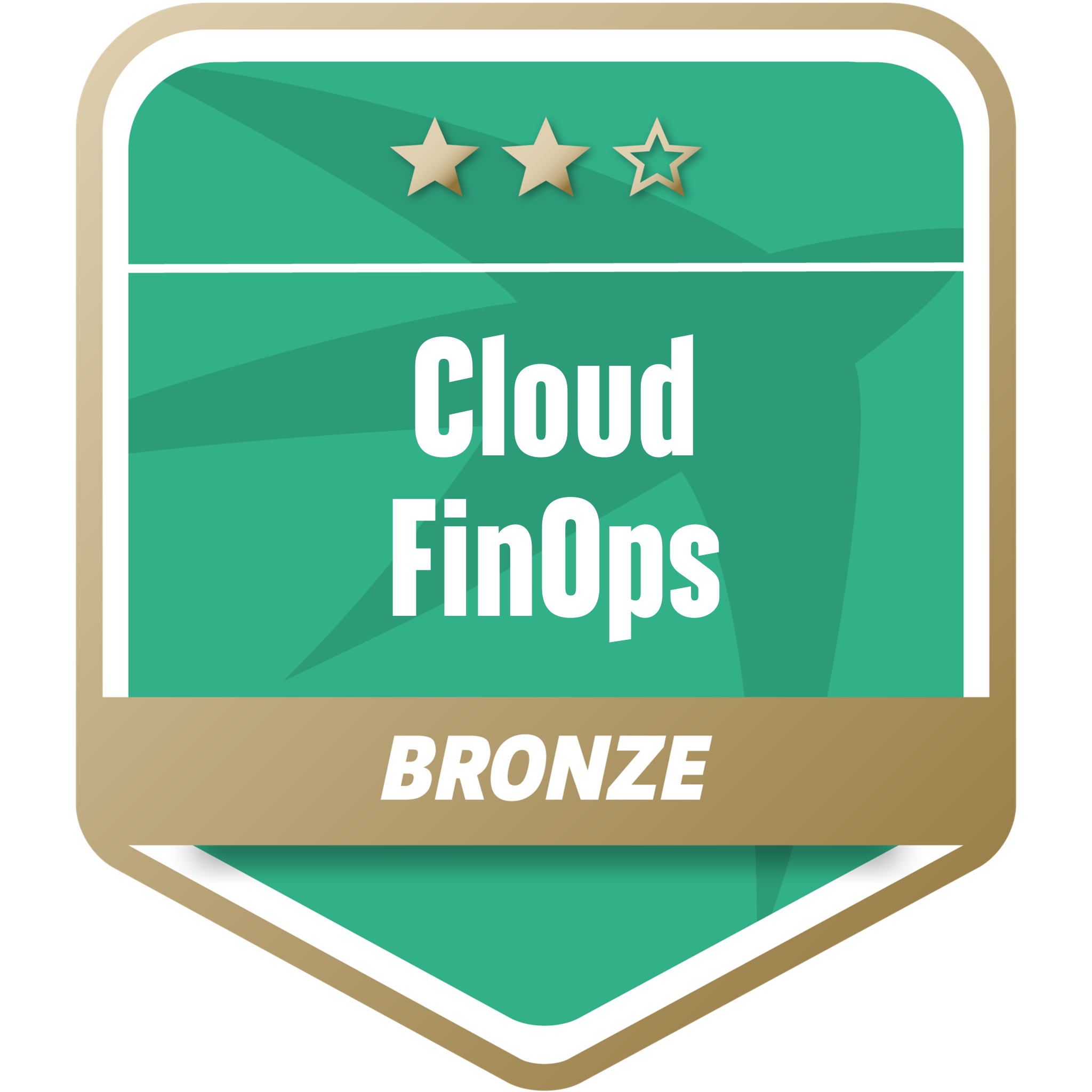 Cloud FinOps Bronze - Credly
