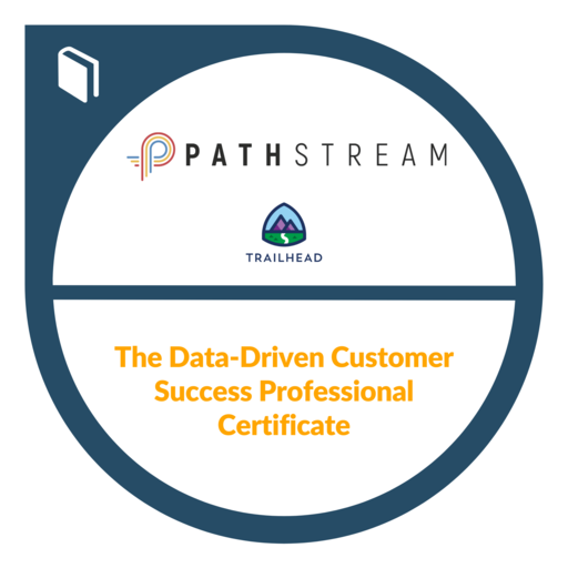 The Data-Driven Customer Success Professional Certificate - Credly