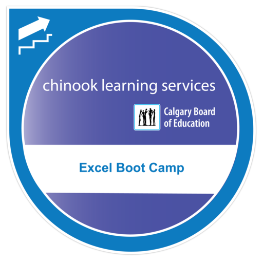 Excel Boot Camp - Credly