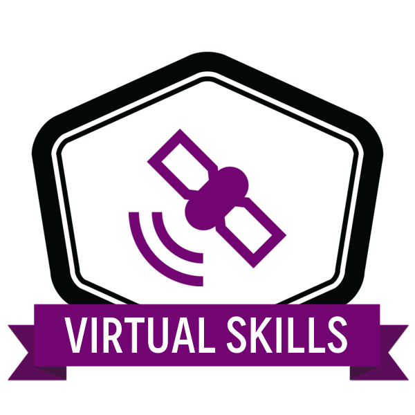 Virtual Learning Skills Badge - Credly