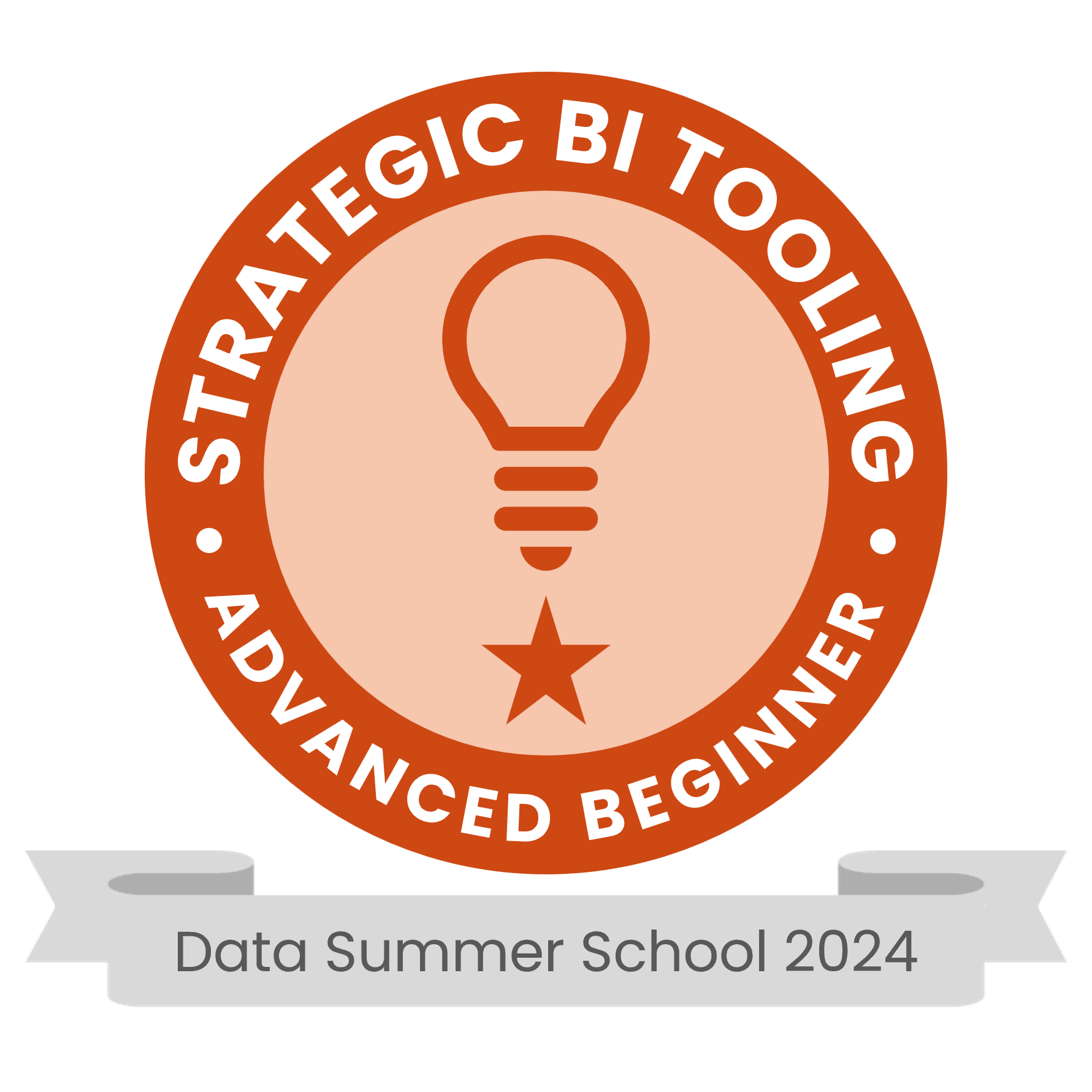 Strategic BI Tooling | Advanced Beginner - Credly