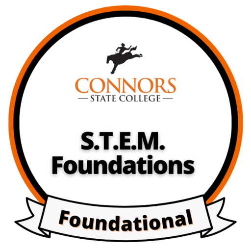 STEM Foundations - Credly