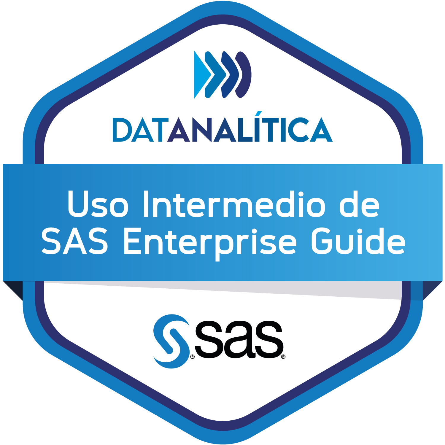 Uso Intermedio de SAS Enterprise Guide - Credly