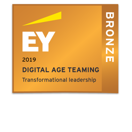 EY Digital age teaming - Transformational leadership - Bronze (2019 ...